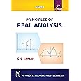 Buy Principles of Real Analysis Book Online at Low Prices in India ...