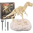 Buy Thrive Toys Dig Up Dinosaurs Skeleton Model - Toys for 3+ Years ...