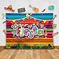 Summer Fiesta Theme Photography Backdrop and Studio Props DIY Kit ...