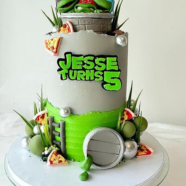 Teenage Mutant Ninja Turtles Cake Topper Ideas Art Of Cakes Teenage