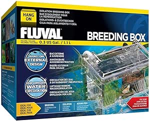 Fluval Hang-On Breeding Box, Medium, 1.1 Litre : Amazon.co.uk: Pet Supplies