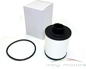 Fiat Ducato 244 / Ducato 250 JTD Kraftstofffilter Dieselfilter ...