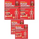 Buy B. D. Chaurasia's - Human Anatomy 4 Volumes - (Vol 1 + 2+ 3+ 4 ...