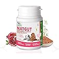 Buy Natural Remedies Natgut Digestive Health Supplement - 20 Tablets ...