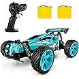 Tecnock RC Car Remote Control Car for Kids, 1:18 High Speed 20 KM/H 2WD ...