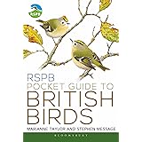 Our Garden Birds: a stunning illustrated guide to the birdlife of the ...