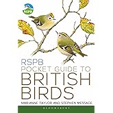 Our Garden Birds: a stunning illustrated guide to the birdlife of the ...
