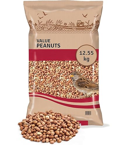 Bird Food Peanuts Premium High-Protein Peanuts For Wild Birds Bird Seed ...