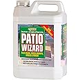 Everbuild Patio Wizard Moss | Protection Against Algae, Green Growth ...