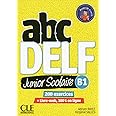 ABC DELF Junior scolaire - Niveau B1 - Livre + DVD + Livre-web : Payet, Adrien, Salles, Virginie ...