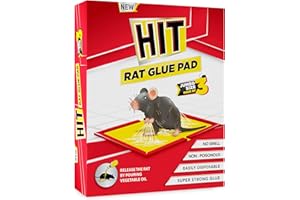 Amazon.in Bestsellers: The most popular items in Rodent Control