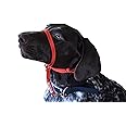 K9 Bridle - to stop your dog pulling (Medium, Red) : Amazon.co.uk: Pet ...
