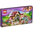 LEGO Friends 3189: Heartlake Stables : Amazon.co.uk: Toys & Games