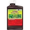 Hi-Yield 35261 Triclopyr Ester Broadleaf Killer Clover Concentrate 8 Fl ...