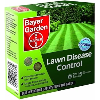 Bayer Garden Concentrated Fungus Fighter, 125 ml: Amazon.co.uk: Garden ...
