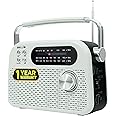 iBELL FM730BT Portable FM Radio with Bluetooth Speaker,Head Phone Jack ...