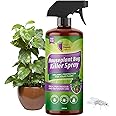 House Plant Bug Killer Spray 200ml – Natural Insecticide for Indoor ...