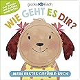 Glücksfisch: Wie geht es dir? Mein erstes Gefühle-Buch: Gefühle ...