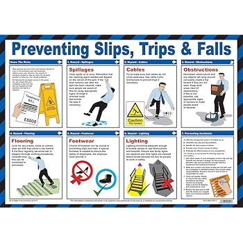 Safety First Aid Group Safe Manual Handling Poster - Laminated (59 x ...