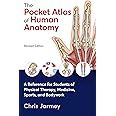 Buy The Pocket Atlas of Human Anatomy, Revised Edition: A Reference for ...