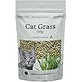 Cat Grass Seeds UK for Indoor & Outdoor Cats - Nutricious & Delicious ...