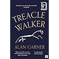 Treacle Walker: Shortlisted for the 2022 Booker Prize and a Guardian ...