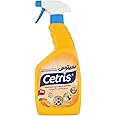 Cetris Super Strength Multi-Purpose Cleaner, with Orange - 1 Liter: Buy ...