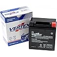Vertex VP3-3 (B) Sealed AGM Motorcycle/Powersport Battery, 12V, 3Ah ...