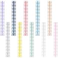 10Pcs Binding Spines, Plastic 30 Hole Click Binding Combs, Spiral Book ...