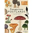 Fungarium Postcards: Welcome to the Museum: Amazon.co.uk: Scott, Katie ...