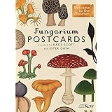 Animalium Postcards: (Welcome To The Museum): Amazon.co.uk: Scott ...