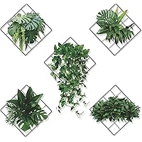 Amazon.de: Magischer 3D-Effekt, lebhafte grüne Pflanzen, Monstera-Blatt ...