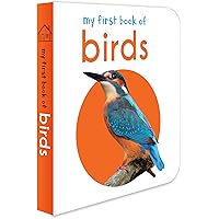 My First Book of Birds: Illustrated spotters guide to bird-watching in ...