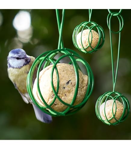 Acorn Fat Ball Feeder