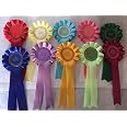 5 x Special Award & 5 x Well Done Rosettes : Amazon.co.uk: Sports ...
