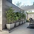 SERENO Bello Rectangular 24D x 13H Inch Plastic Flower Pots for Home ...
