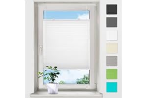 Amazon.de Best Sellers: The most popular items in Pleated Shades