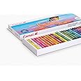 Camel Camlin Kokuyo Extra Long Wax Crayons - 24 Shades : Amazon.in ...