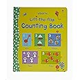 Buy Counting Book (Usborne Lift-The-Flap-Books) Book Online at Low ...