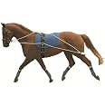 Kincade Lunging Training System based on PESSOA Training Aid 1 Size ...
