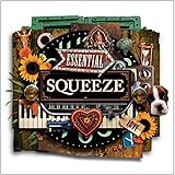 Big Squeeze: the Very Best of Squeeze: Amazon.co.uk: CDs & Vinyl