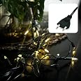 hellum Lichterkette 50 LED warmweiß Indoor 7,35 m Lichtlänge, 2x1,5 m ...
