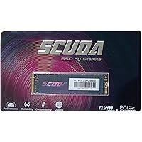 Amazon.in: Buy 256GB NVMe PCIe M.2 Starlite Scuda Solid State Drive ...