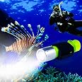 BlueFire Linterna de Buceo, Linterna LED Subacuática de 1100 Lúmenes ...