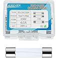 AUKENIEN 0.5A 250V Fast Blow Glass Fuse F0.5AL250V 500mA 0.5Amp 250 Volt Glass Fuses 5x20 mm 0 ...