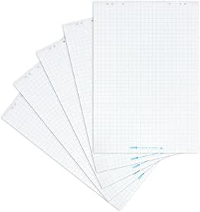 Landre Flipchart Paper Squared 20 Sheets per Pad (Pack of 5) : Amazon ...