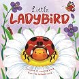 Little Ladybird (An illustrated story about the life-cycle of a ...