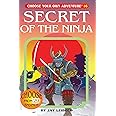 Secret of the Ninja: 016 (Choose Your Own Adventure) : Leibold, Jay, Marron, Jose, Nugent ...