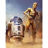 SXSJEIOU 5D R2D2 Diamond Painting Kits for Adults- Star Wars C3po ...