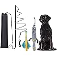 KOXXUD Flirt Pole Dogs, Dog Chase Toy with Squeakers inside, Dog ...